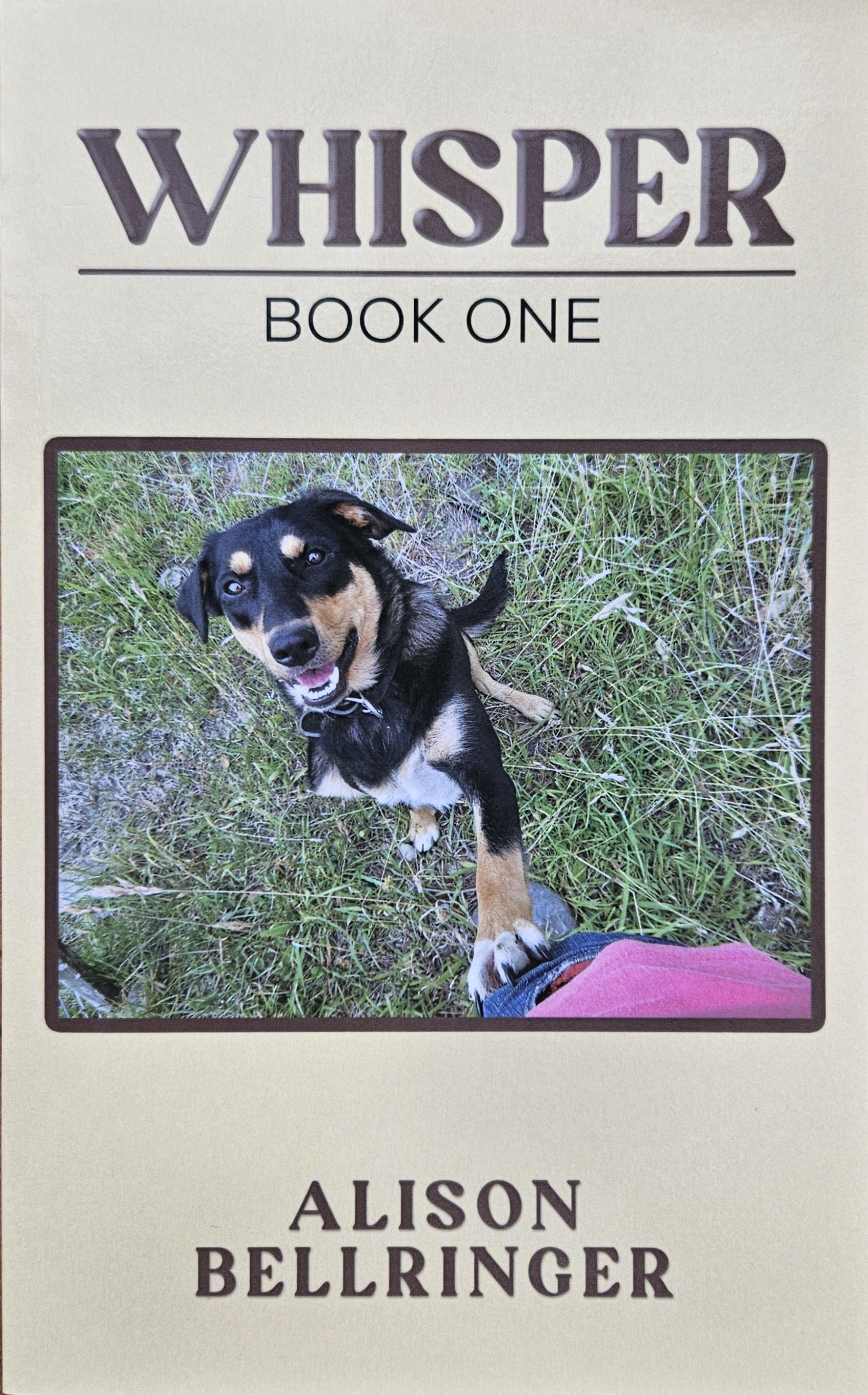 Whisper (Book One) | Family Choice Awards